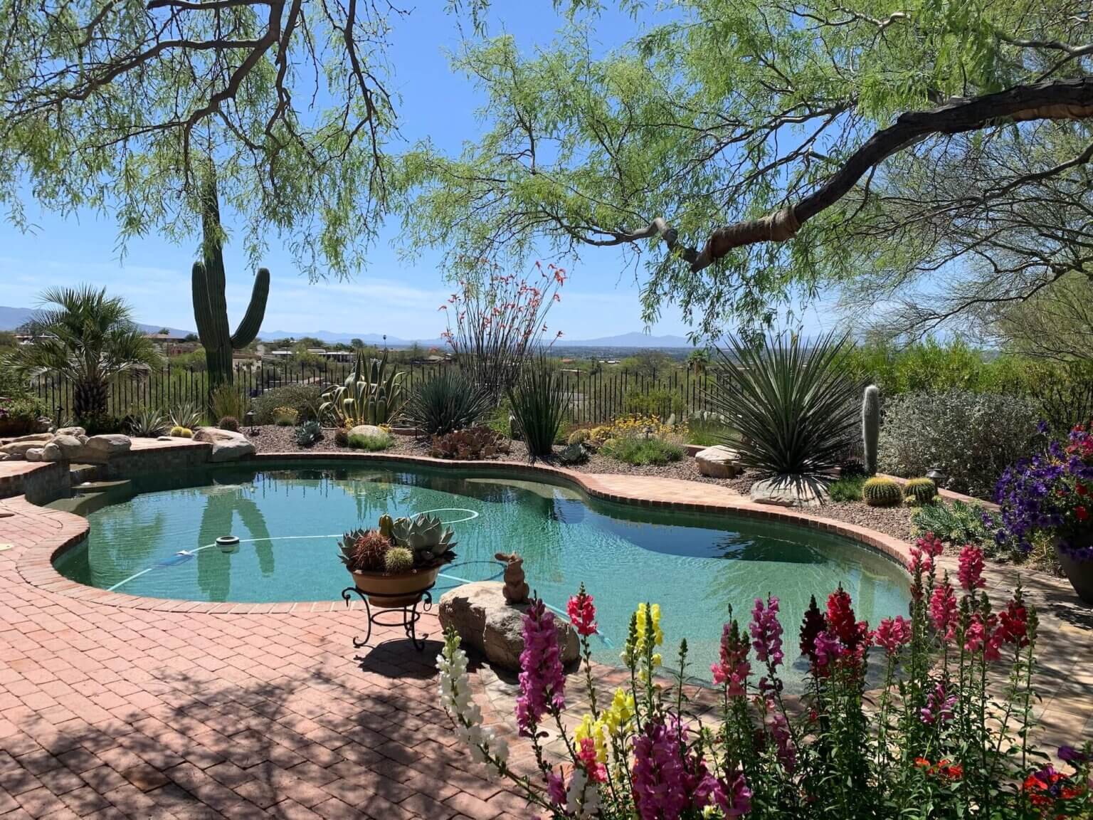 5 Great Ways to Create Your Ultimate Summer Oasis in Tucson ...