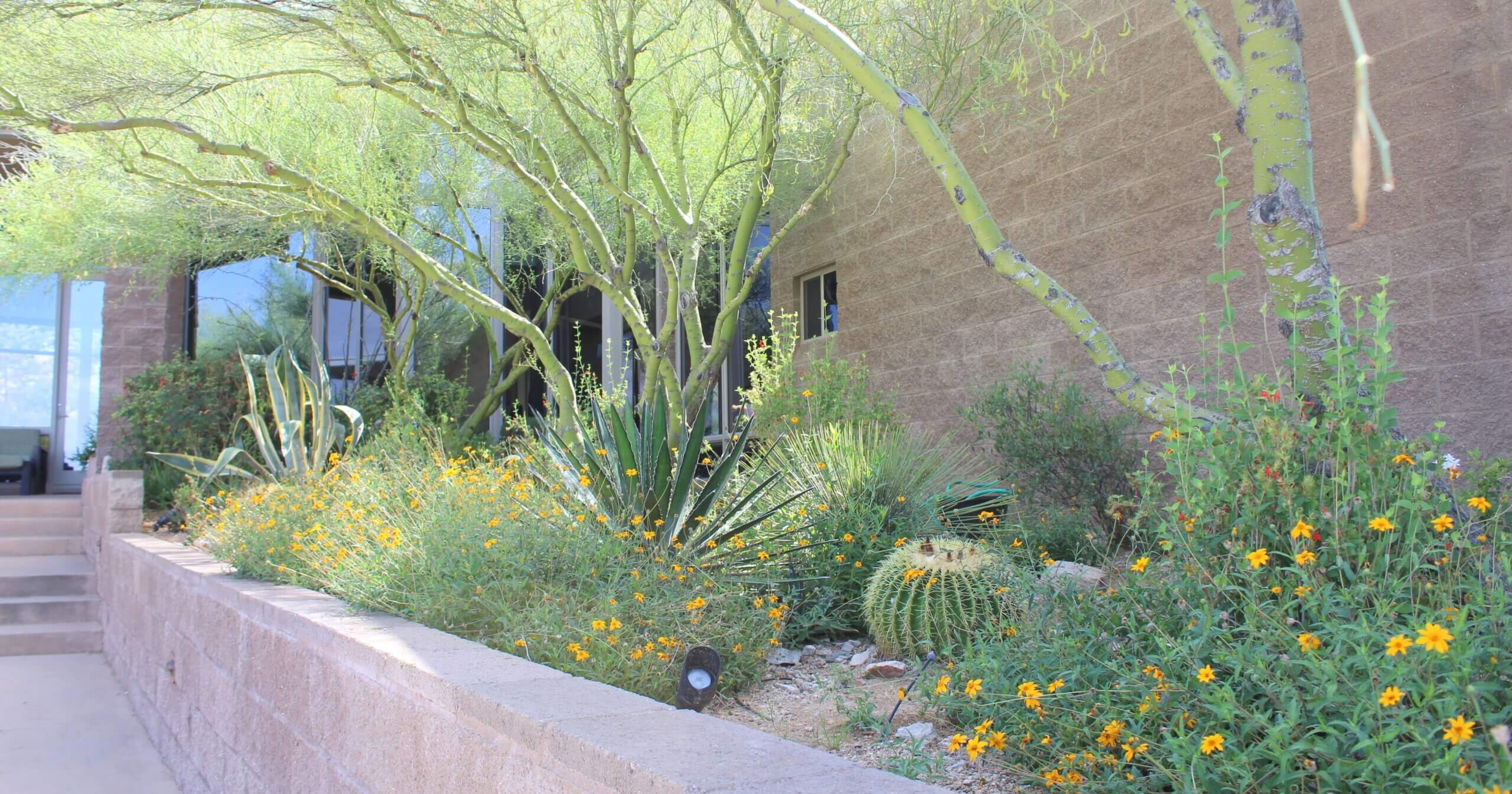 Tucson Landscaping Testimonials | Horticulture Unlimited Inc.